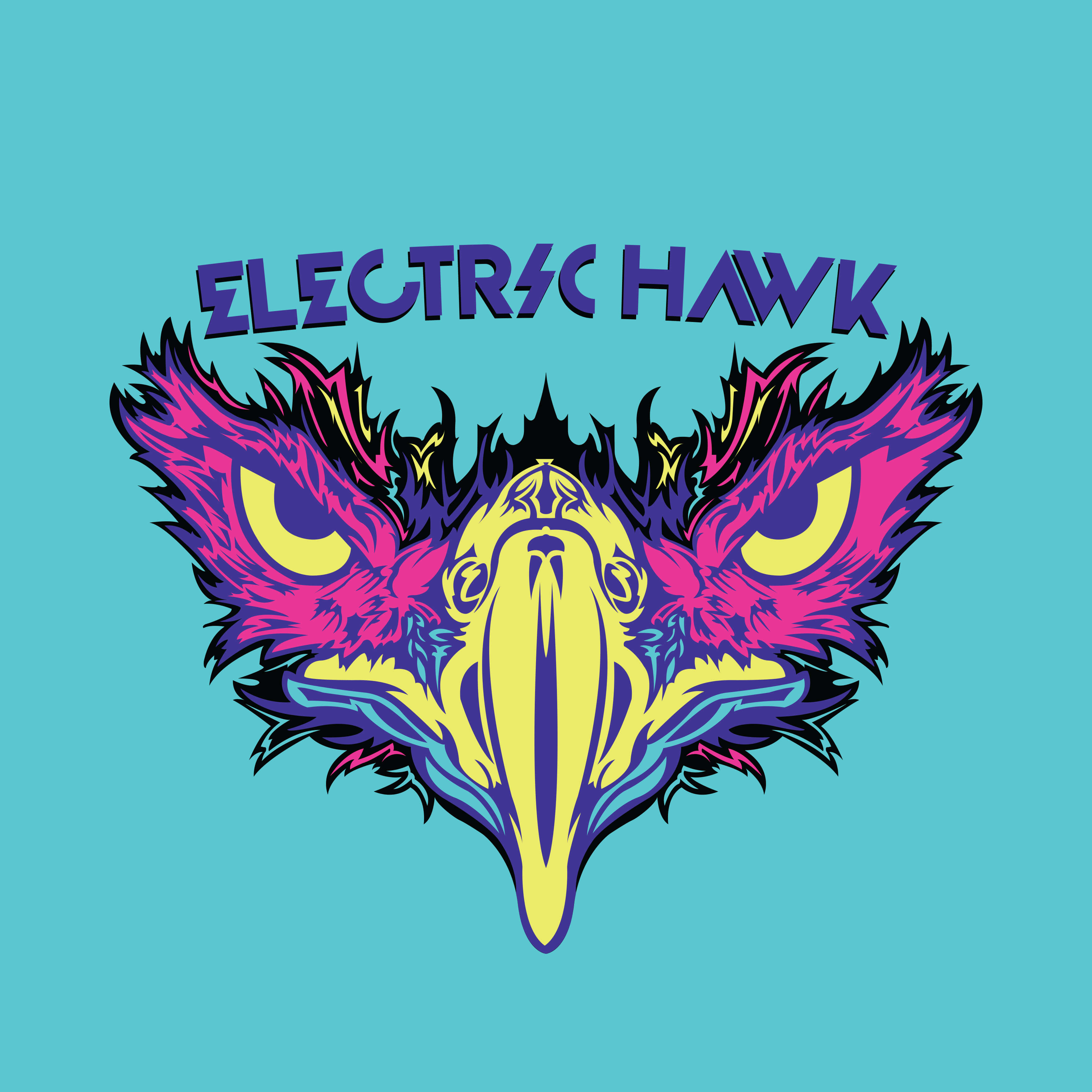 Electric Hawk » Hunting Music For You